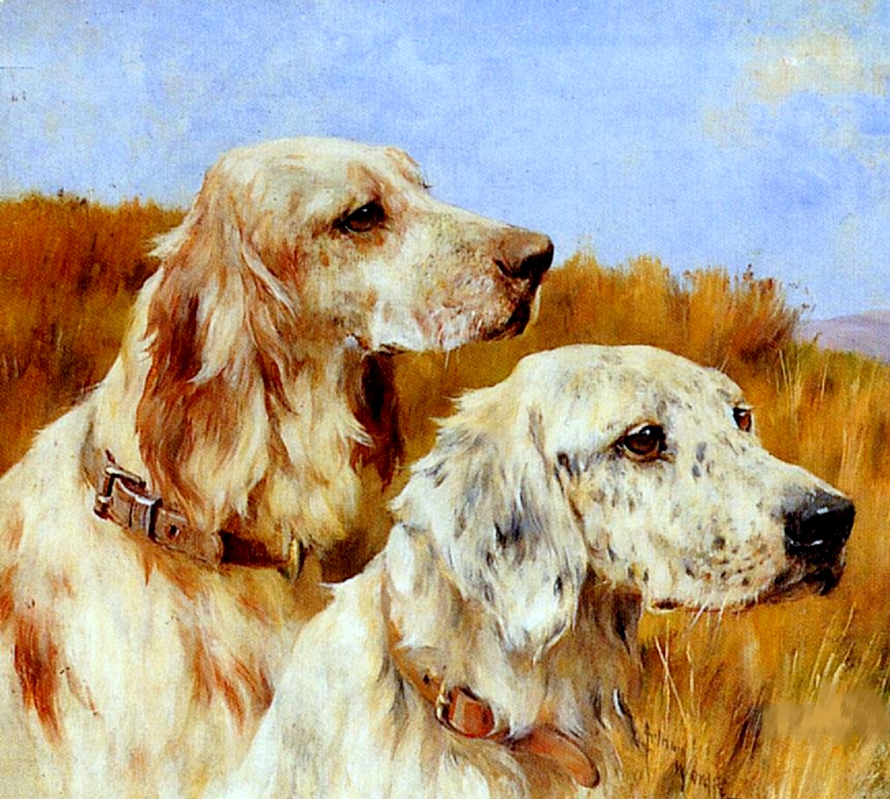 Setters à travers ces derniers siècles - Club du Setter Anglais