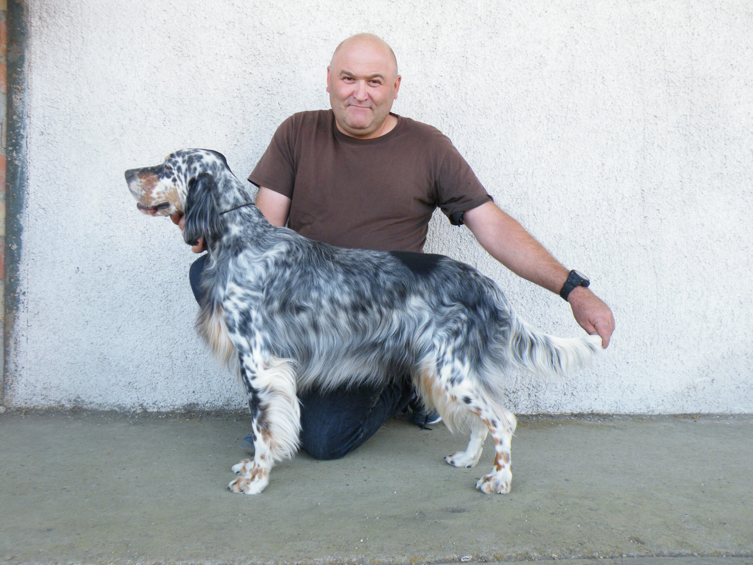 Résultats complets Sainville 13/08/2022 - Club du Setter Anglais