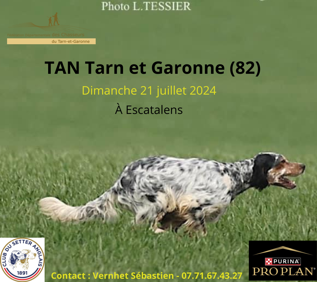 TAN du Tarn-et-Garonne dimanche 21/07/2024 - Club du Setter Anglais
